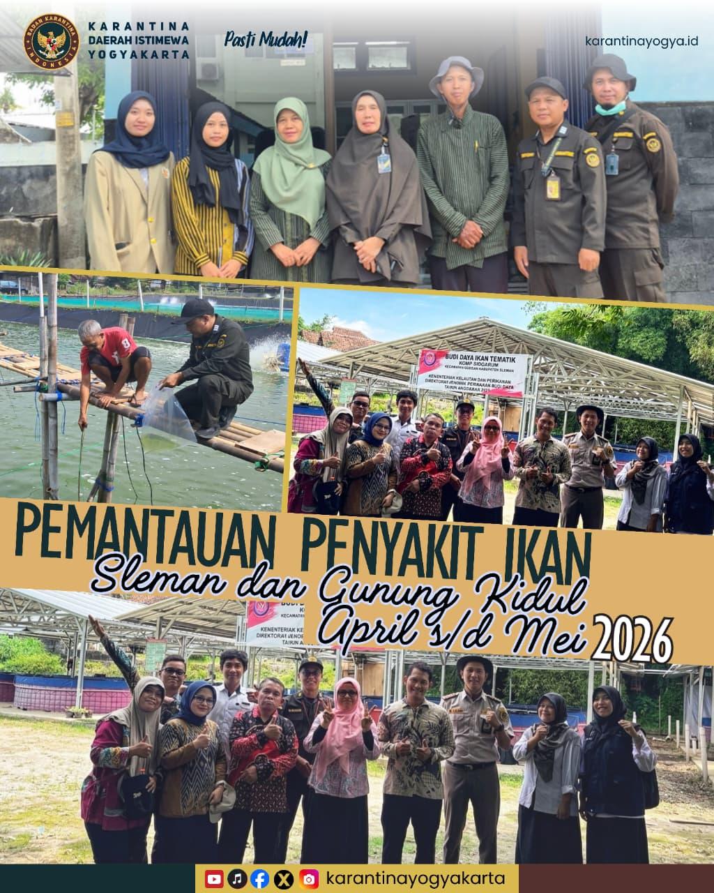 Karantina Yogyakarta Intensifkan Pemantauan Hama dan Penyakit Ikan ...