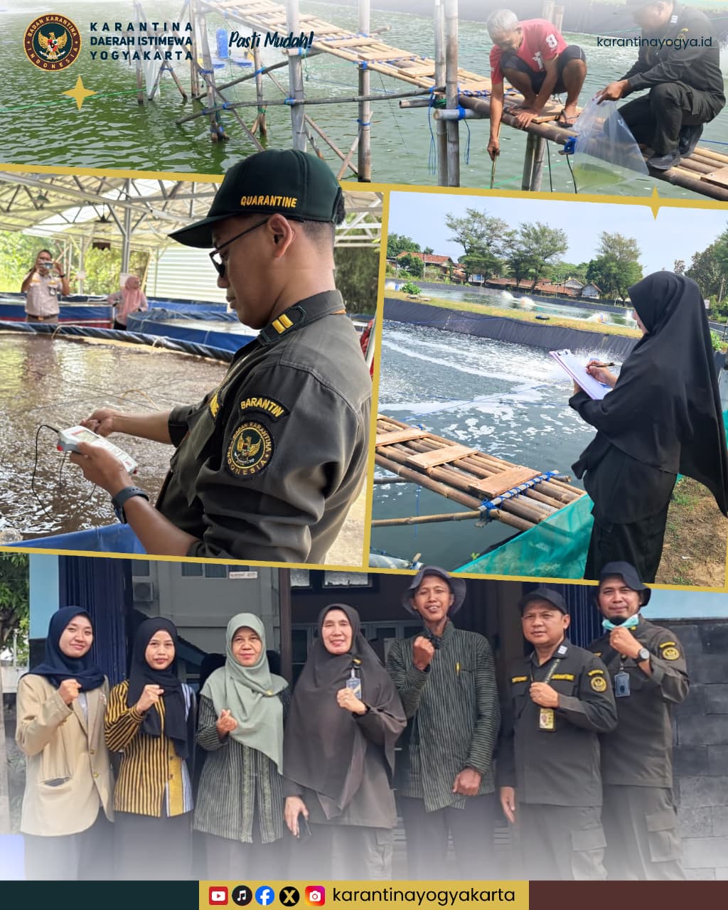 Karantina Yogyakarta Intensifkan Pemantauan Hama dan Penyakit Ikan ...