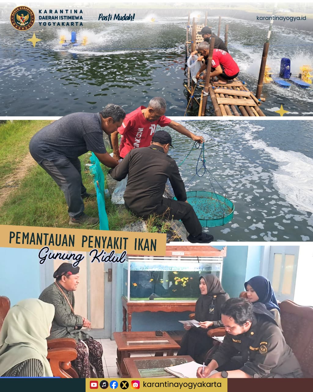 Karantina Yogyakarta Intensifkan Pemantauan Hama dan Penyakit Ikan ...